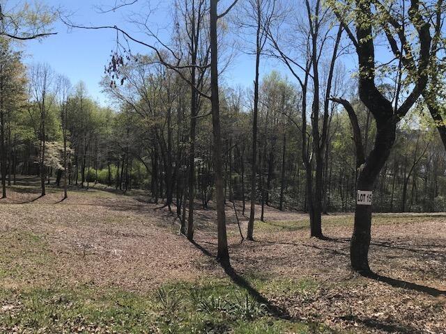 15 Piney View Drive
