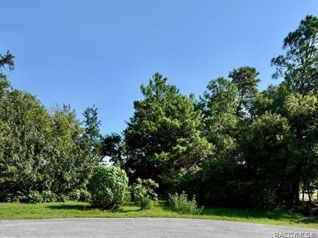 15 Quailwood Path, Homosassa, FL 34446