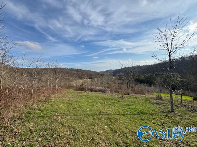 15 Ragsdale Creek Road