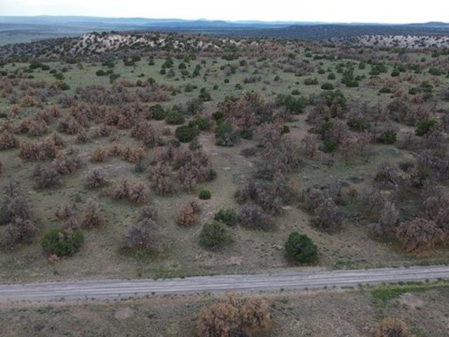 15 River Ln Unit 52, Quemado, NM 87829
