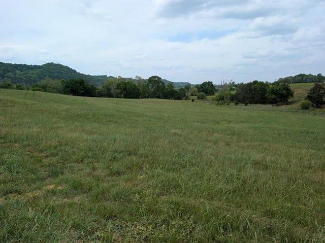 15 Rivertown Rd, Burkesville, KY 42717