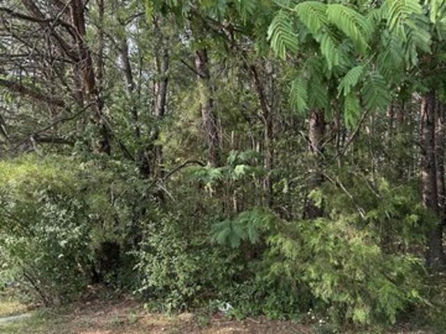 15 Seth Rd, Pigeon Forge, TN 37863