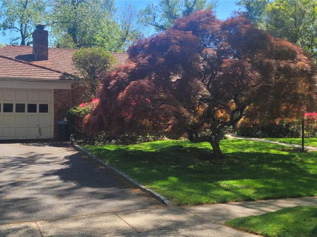 15 Somerset Drive S