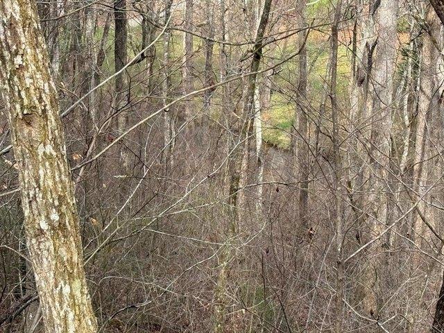 15A Mossy Oaks Ln Lot 15A, Hiawassee, GA 30546