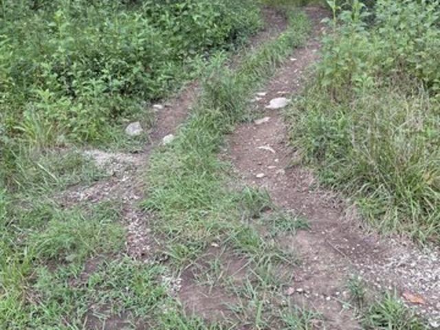 15R L Colyer Rd, Somerset, KY 42501