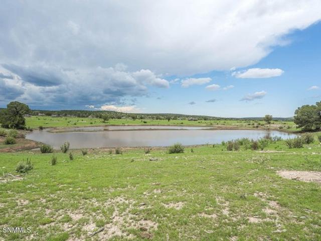 1604 NM 24, Weed, NM 88354