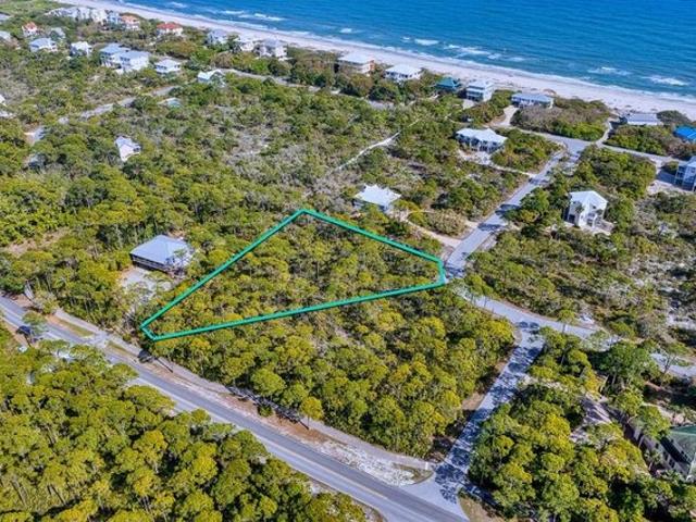 1604 Forsythia Way, Saint George Island, FL 32328
