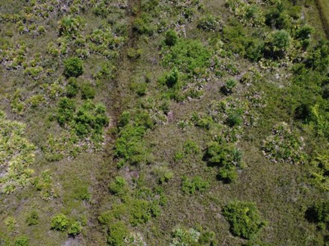 16061 NW 264th St, Okeechobee, FL 34972