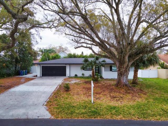 1606 Palmwood Dr, Clearwater, FL 33756
