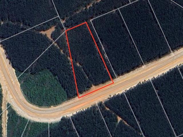 16076 Forest Mill Road