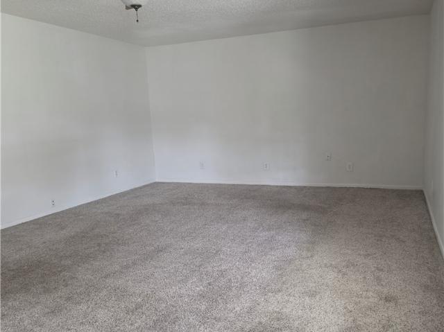 1607 W Palm Drive