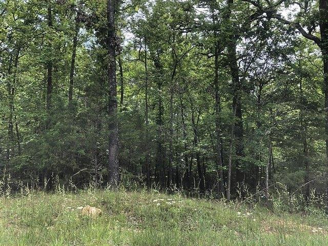 1608 Adams Cir, Horseshoe Bend, AR 72512