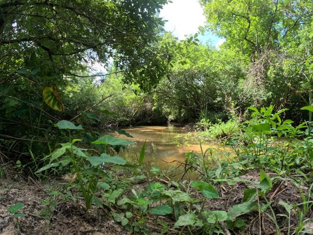 1608 Highway 586, Foxworth, MS 39483 | MLS #144945