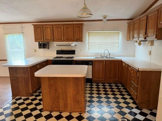 16099 Rolling Hills Road # 1/2