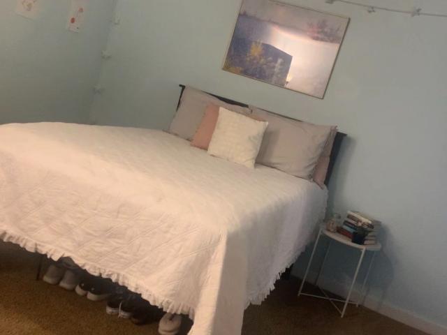 1609 Sydenham