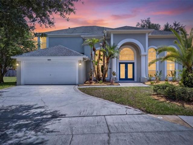 16003 Ridley Pl, Tampa, FL 33647