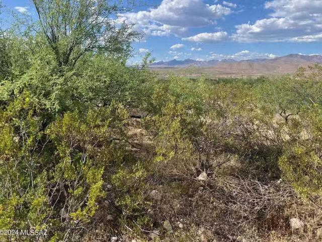 16000 Hinton Rd #0, Fort Thomas, AZ 85536 MLS 22412832