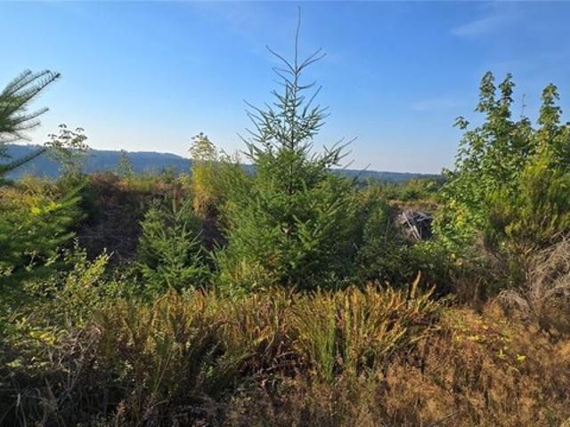 16001 rd Ave E Parcel A, Orting, WA 98360