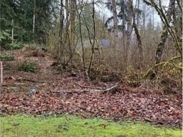 16007 Shuksan Rim Dr Lot 7, Deming, WA 98244