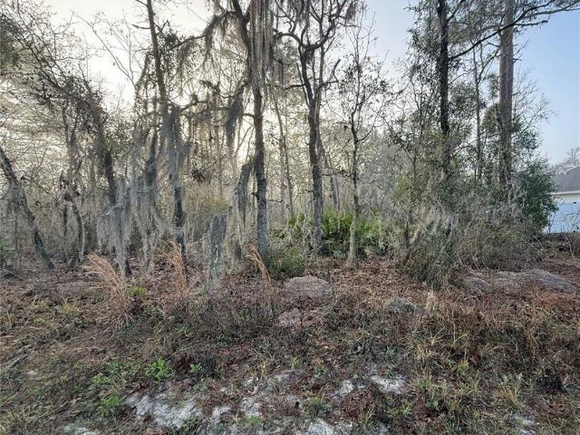 16009 SW 57th Terrace Rd, Ocala, FL 34473 | MLS #GC529044