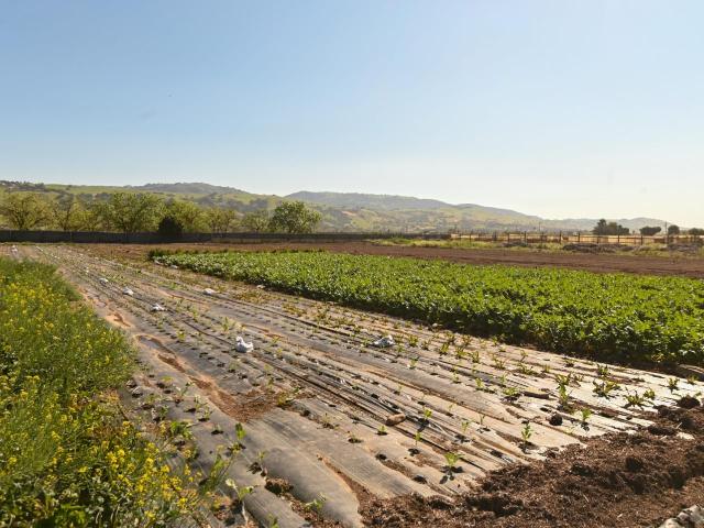 1600 Barrett Ave, Morgan Hill, CA 95037 | MLS #ML82039