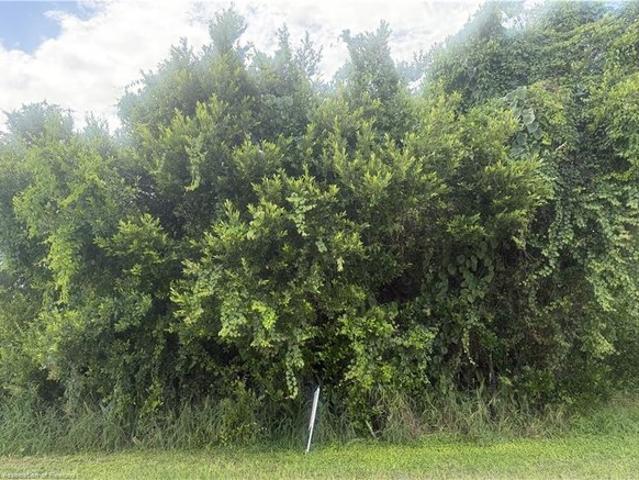 1600 E Claradge Ave, Avon Park, FL 33825