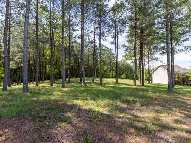 1600 Raulston Falls Road