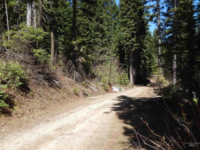 1601 Bear Trail Loop