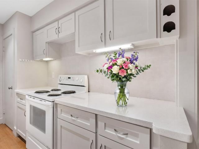 1601 S Shepherd Dr, Unit 243, Houston, TX 77019 | MLS #60264