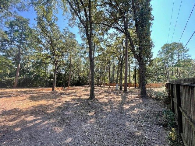 16020 N Loop Dr, Plantersville, TX 77363
