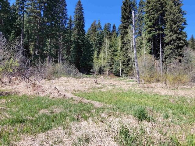 1602 Bear Trail Loop