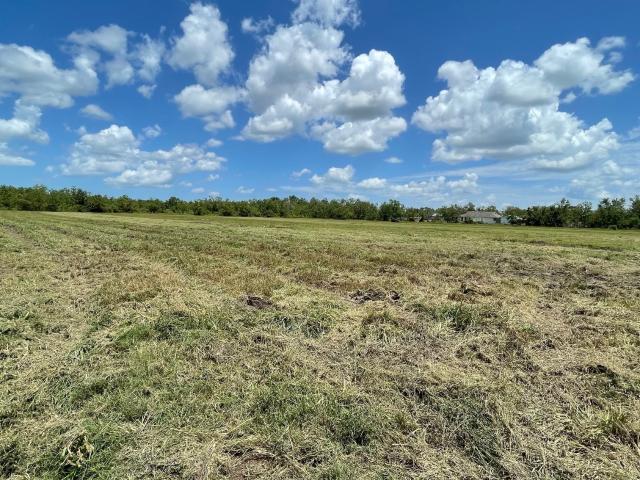 1602 County Road 62
