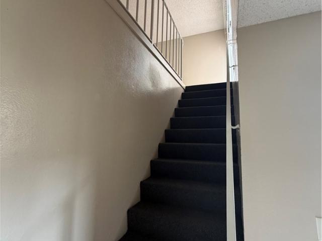 1602 Fairfield Court E 4