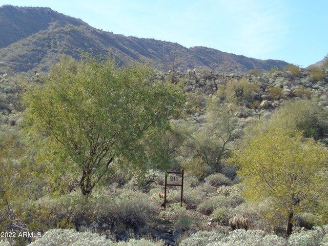 16038 N Ringtail Trl Lot 240, Fountain Hills, AZ 85268