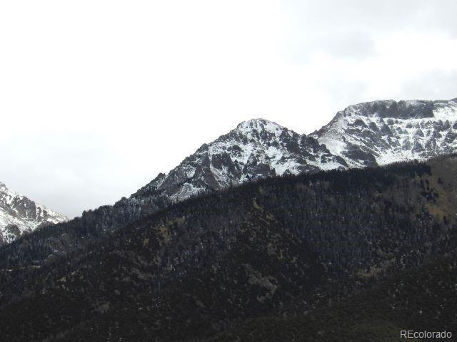 1603 Silver Spur Trail