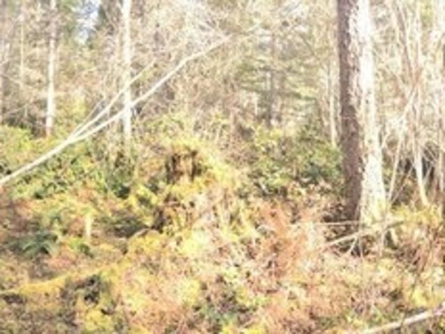 160th Ave NW, Gig Harbor, WA 98329