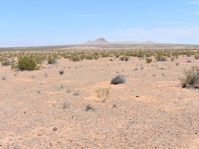 160th St E, Edwards, CA 93523 | MLS #26002 | Compass