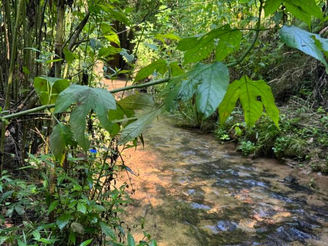 160 County Road 968