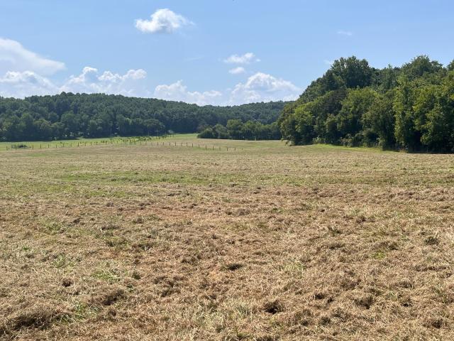 160 County Road 968