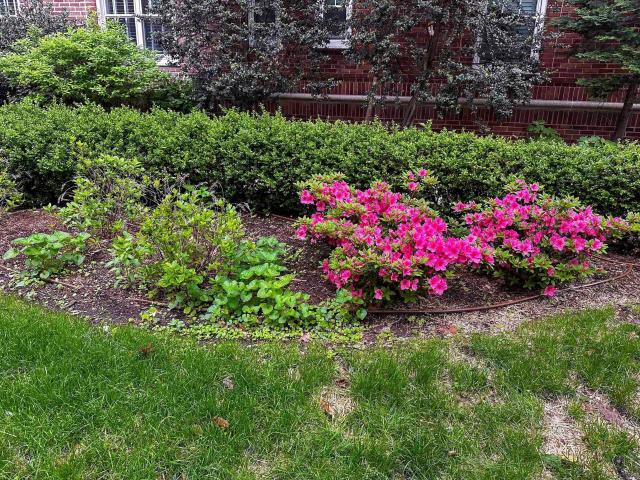 160 Cabrini Boulevard, Unit 62