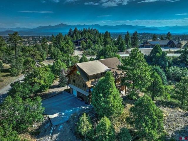 160 Cameron Pl, Pagosa Springs, CO 81147