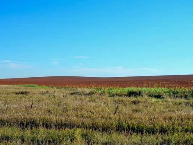 160 Ac 238th Sec 36 T106 R76 Lyman County St Unit NW4, Kennebec, SD 57544
