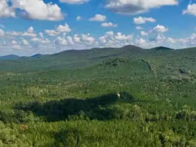 160 ACRES CONCORD CHURCH ROAD, TALLADEGA, AL 35160 Vacant Land.