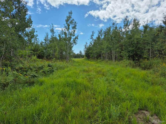 160 Acres Halverson Road