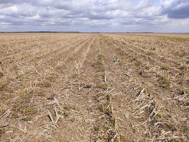 160 Acres Nw1/4 of Sec # 20, Alsatia, LA 71286