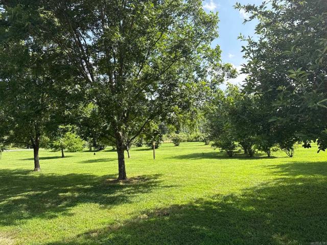 160 Appaloosa Trail