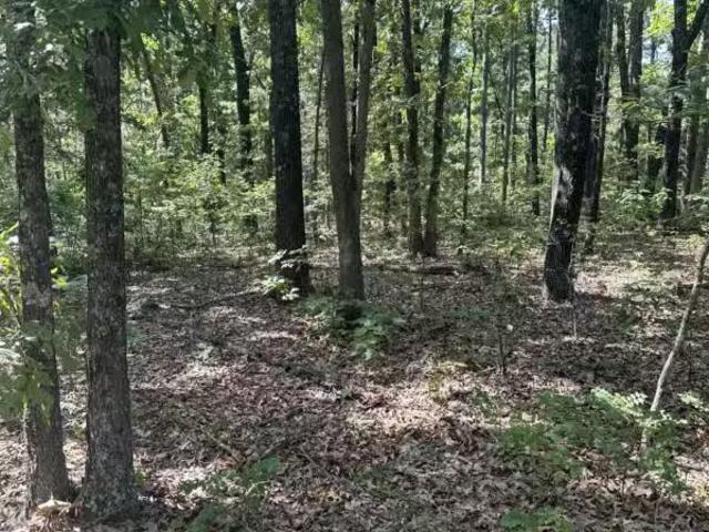 160 ASPEN RD, HOLLISTER, MO 65672 Vacant Land For Sale MLS# 6.