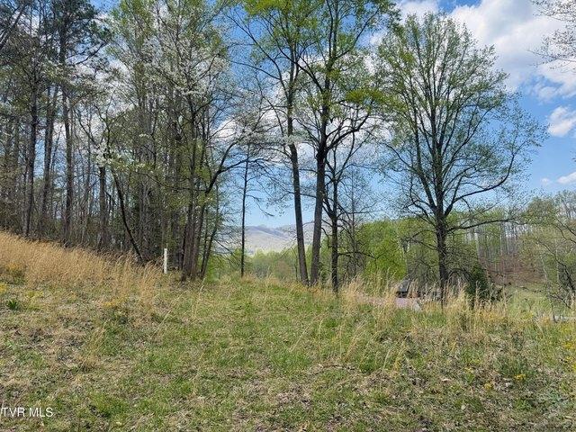 160 Bob S Hollow Rd, Elizabethton, TN 37643