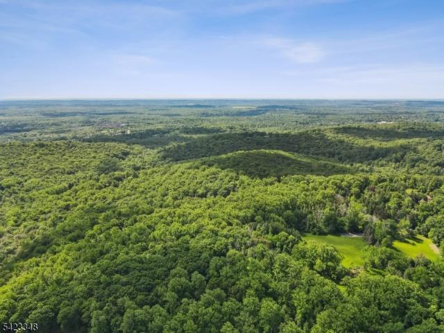 160 Jockey Hollow Rd, Bernardsville, NJ 07924 | MLS #4019 | Compass