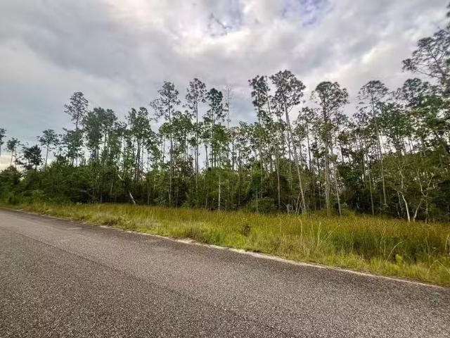 160 Jazzy Ln, Wewahitchka, FL 32465 MLS 317698